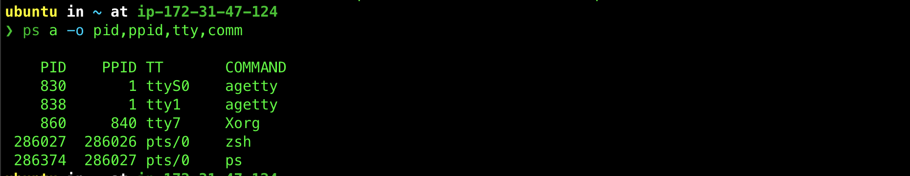 System Programs | 50.005 CSE